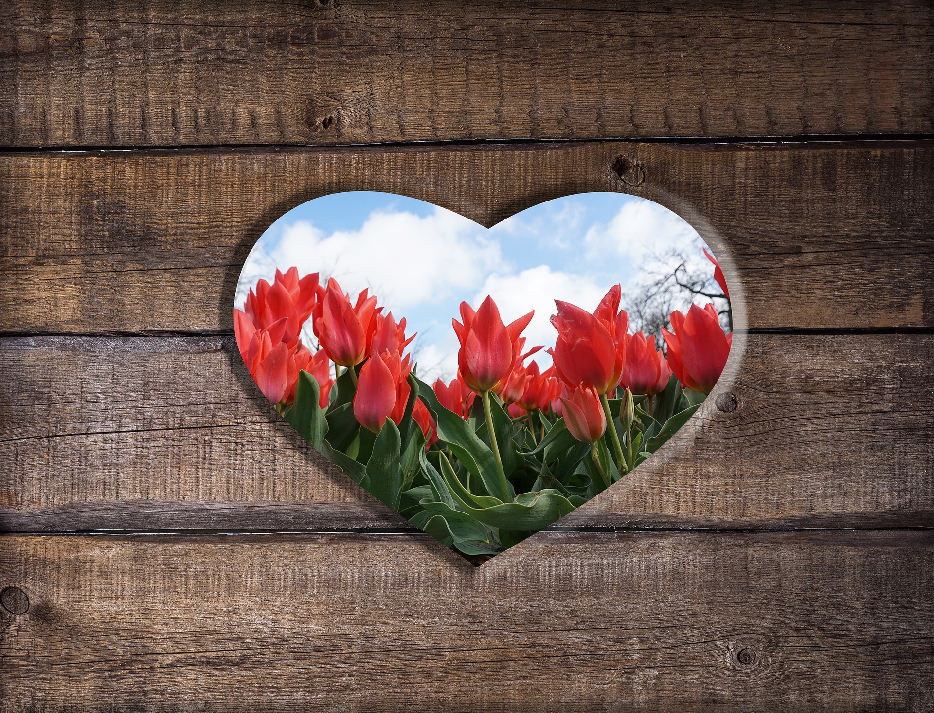 Self-love is where it starts | From Forty With Love