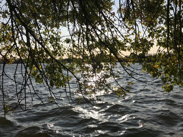 The courage to grieve | From Forty With Love